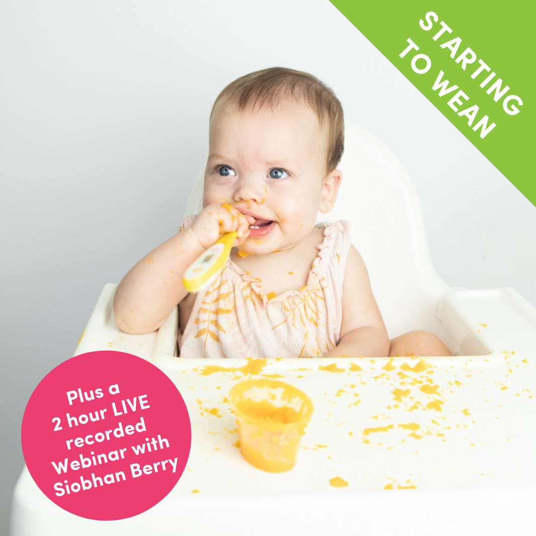 How to Start Weaning - Guide for the 1st Year of Feeding Baby – Mummy Cooks